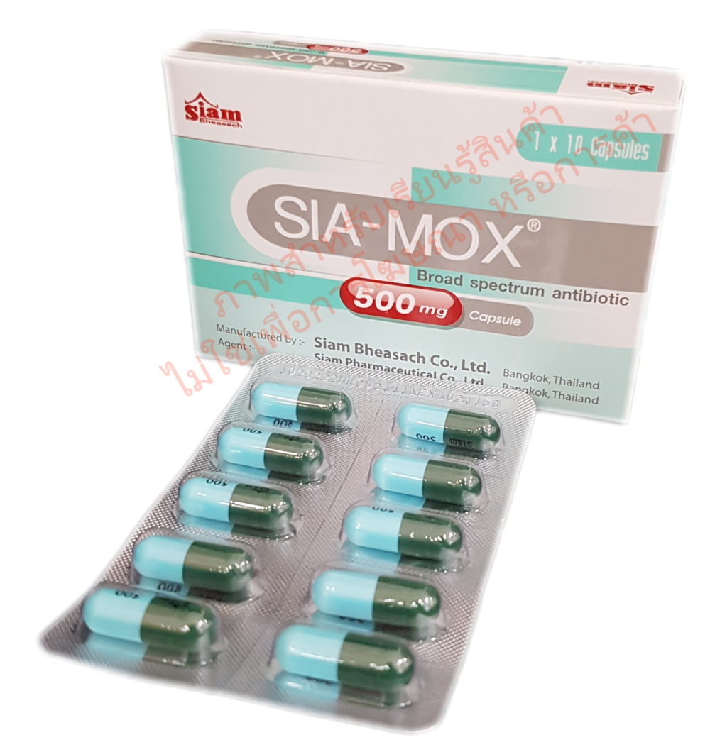 SIA MOX 500 MG แผงเดี่ยว 10 เม็ด amoxy(L24)