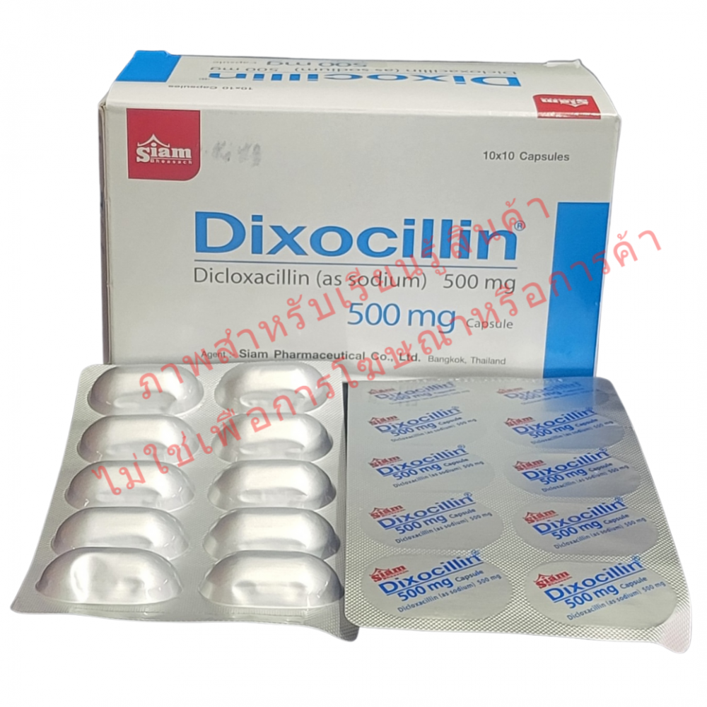 Dixocillin 500 mg SIAM dicloxacillin แผง 10*10′s