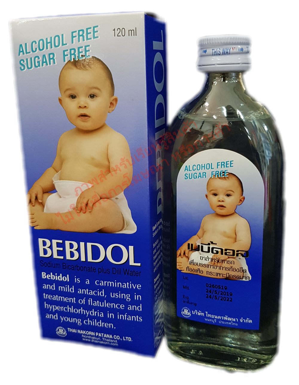 BEBIDOL 120 ML TNP (จ4)