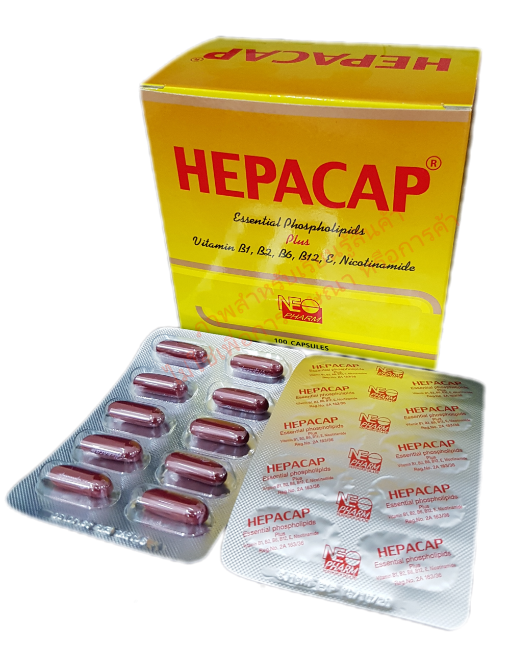 HEPACAP 10*10′s essential ppl +vit b(N55)