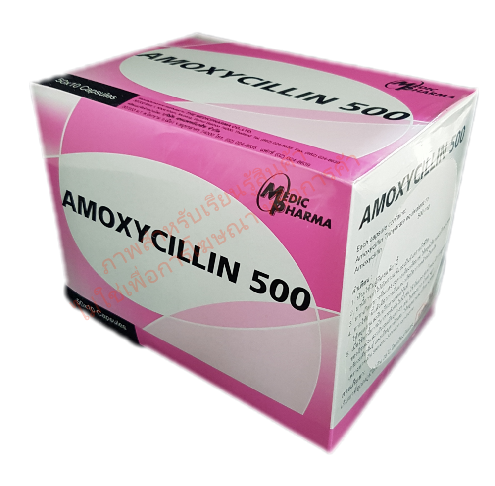 AMOXY 500 mg แผง สีชมพู 50*10′s สหแพทย์